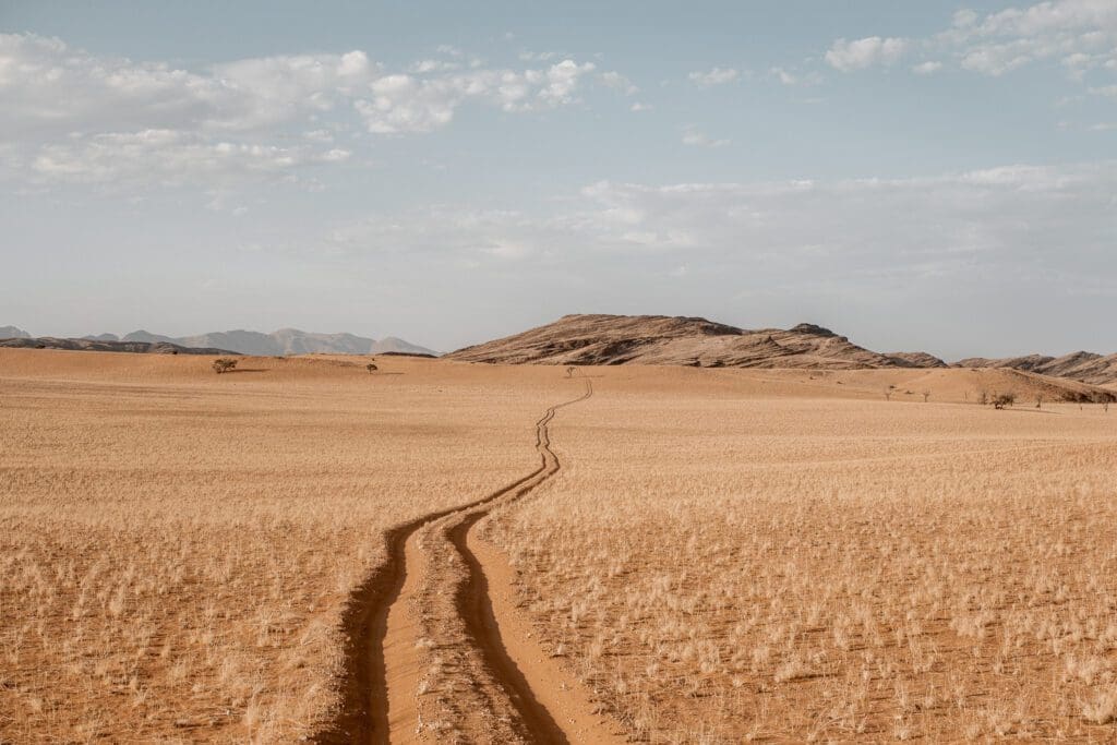 Discover Namibia - 2026 - Tour - Nomad Africa Tours & Safaris
